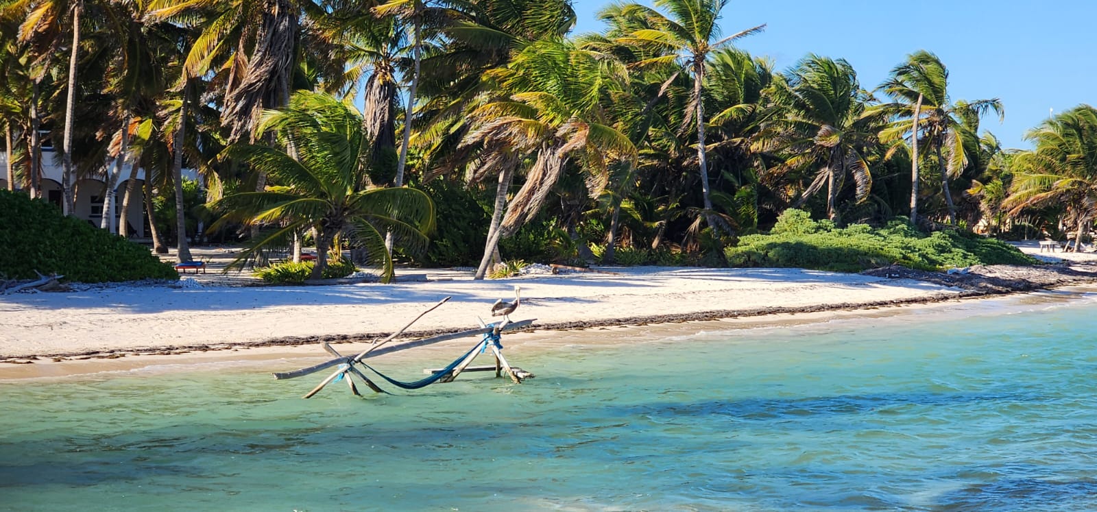 Off The Grid Retreats - Playa Sonrisa Xcalak, Mexico_EN